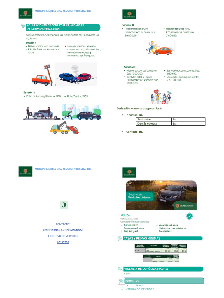 Folleto Seguro Vehicular | PDF