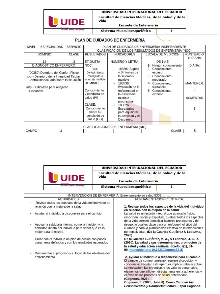 Formato Pae 12 | PDF | Enfermería | Comportamiento