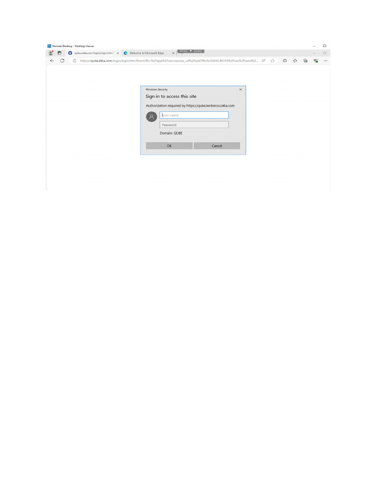 Citrix Clientless SSO | PDF
