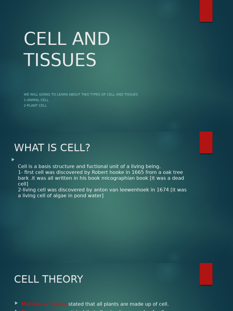 Cell and Tissues | PDF