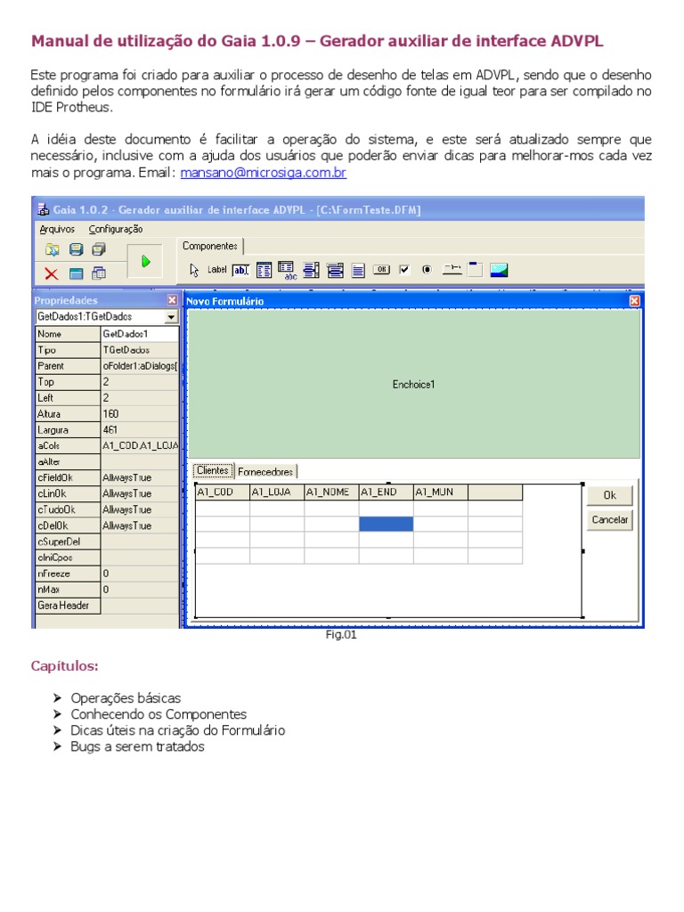 Gaia - Gerador Interface Advpl | PDF