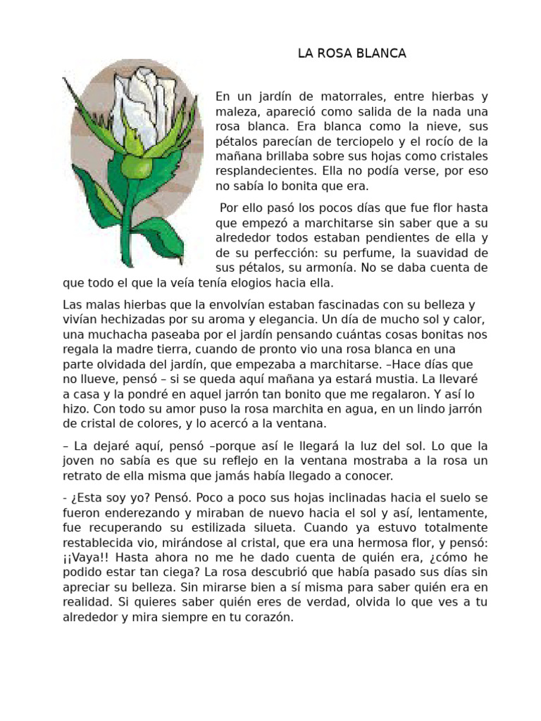 La Rosa Blanca: Reflexión y Autoestima | PDF | Rosa