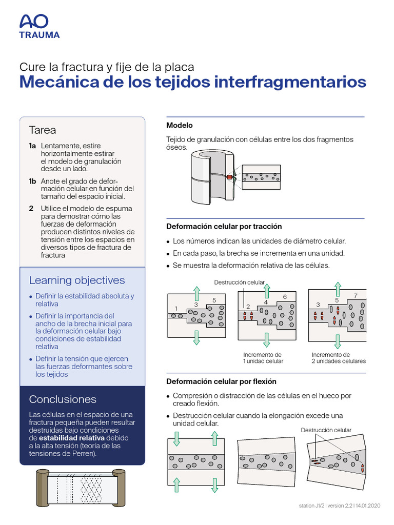 (AOE20001) Skills Lab Posters - 2020 - ES - 20200114 - J | PDF | Doblar ...