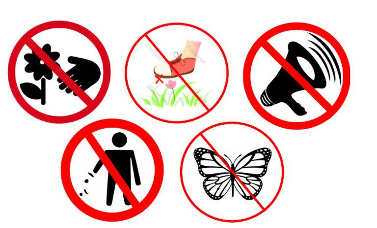 Bawal Sign | PDF