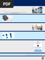 NAPLAN 2024 Online Practice Guide | PDF