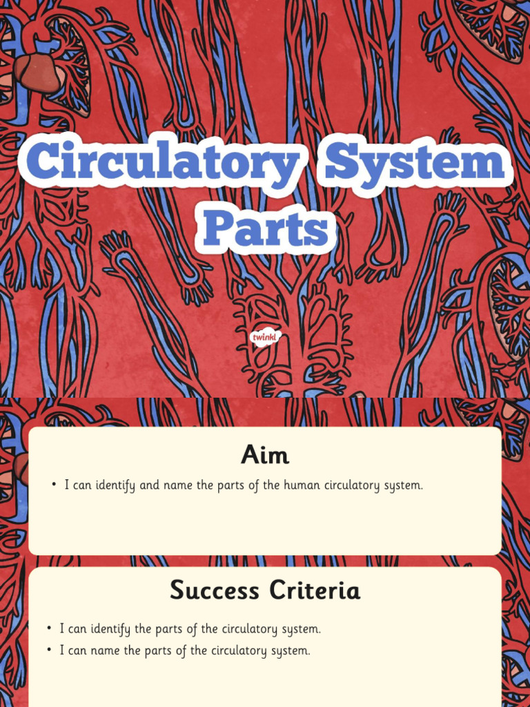 Parts of The Circulatory System LESSON | PDF