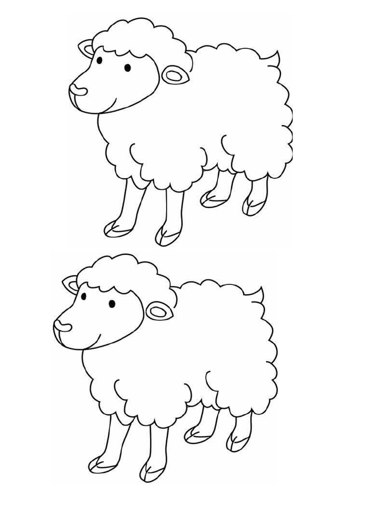 Oveja | PDF