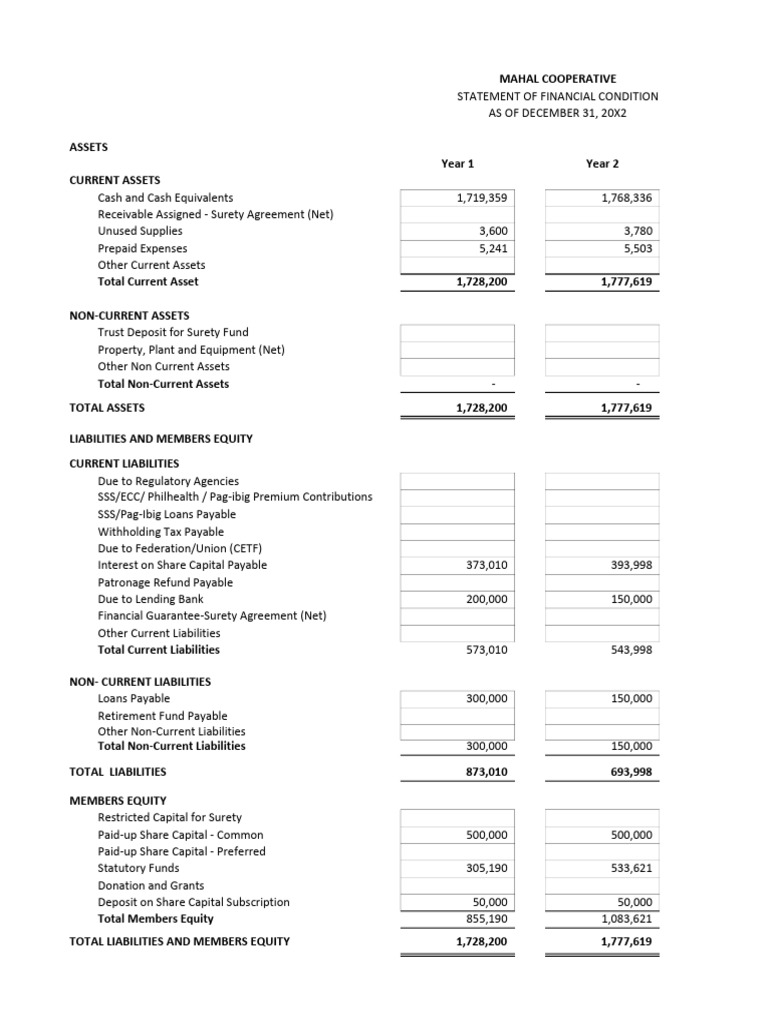 Mahal Cooperative Financial Statement | PDF | Equity (Finance ...