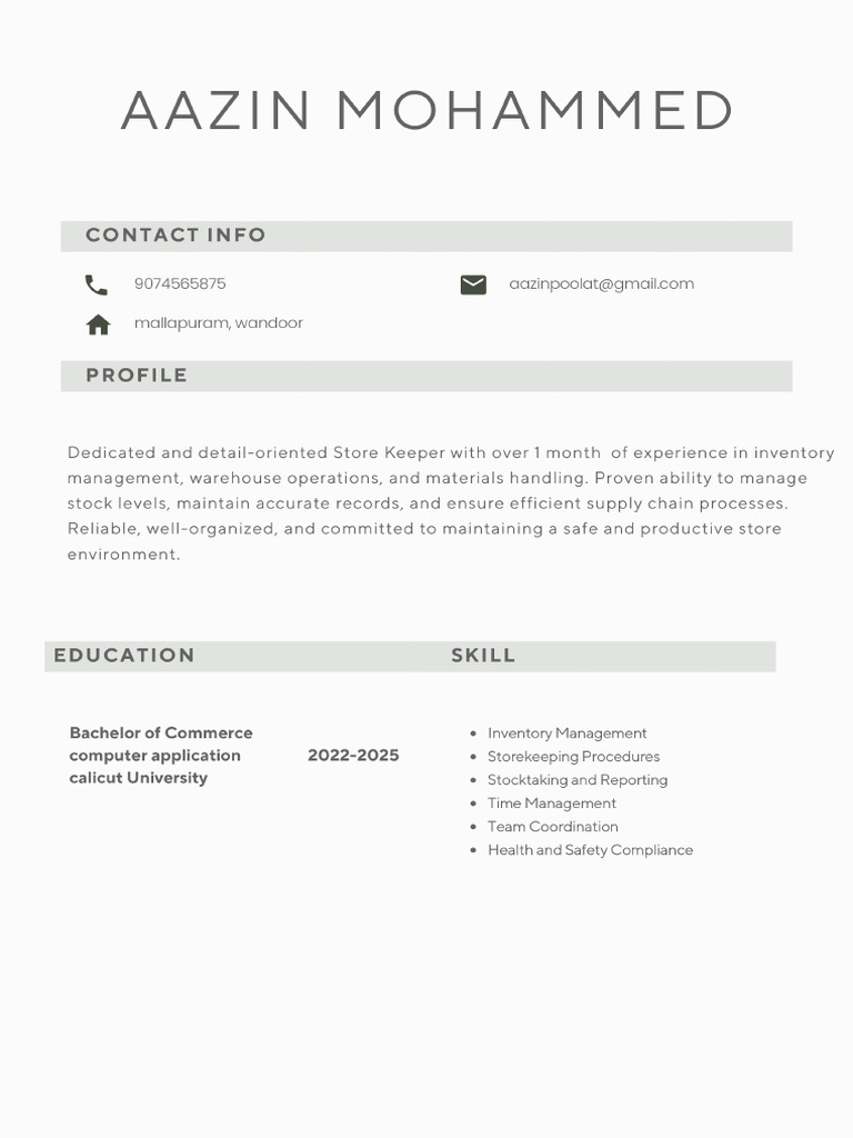 Black and White Minimalist Professional Resume A4 | PDF