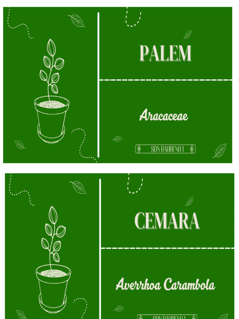 Daftar Nama Bunga 2 | PDF