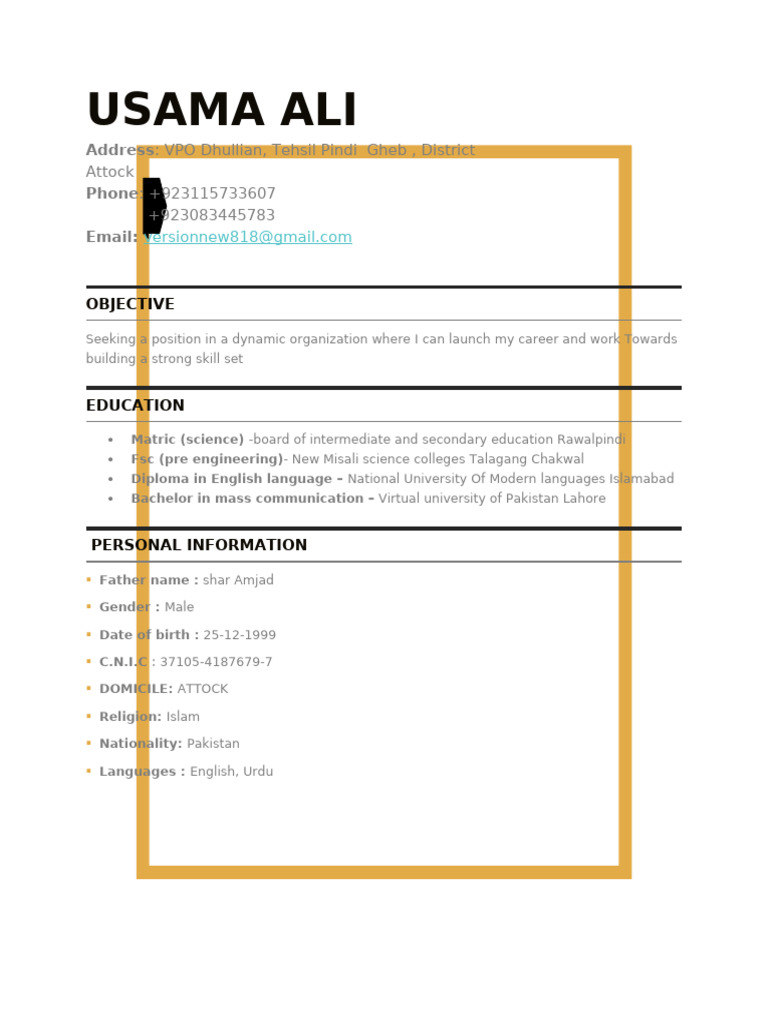 Usama Resume 1 | PDF