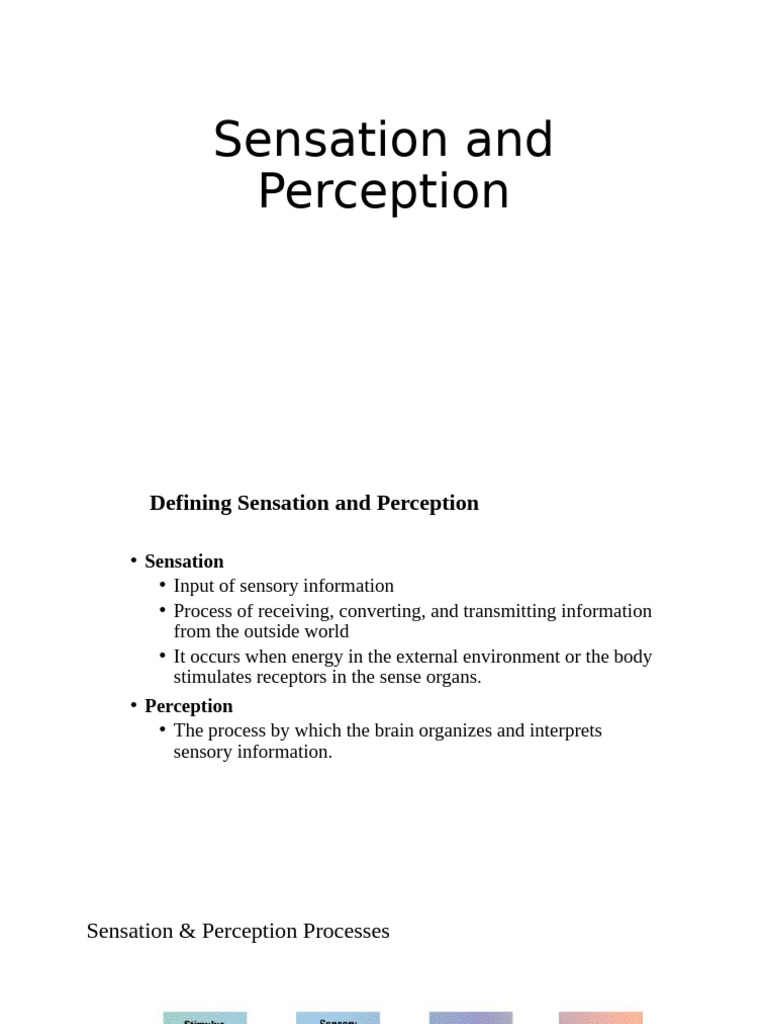 Sensation and Perception | PDF | Senses | Perception