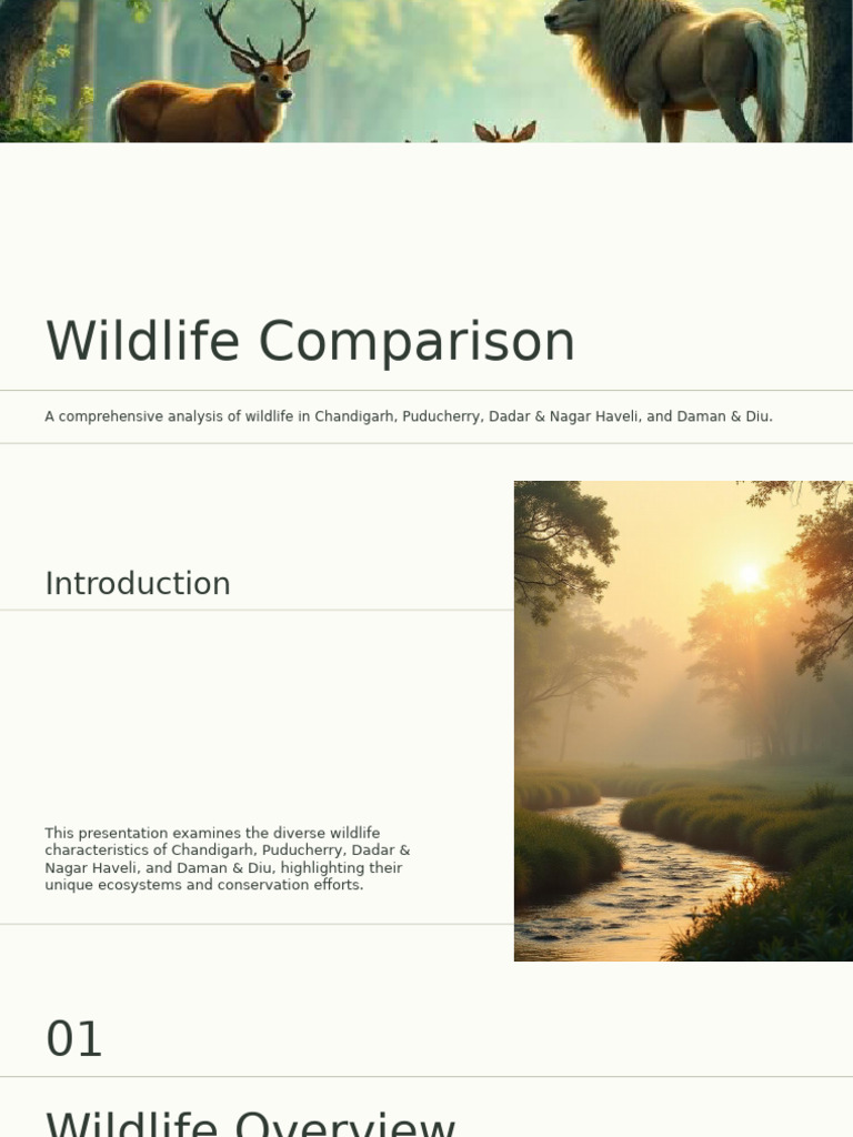 Wildlife Comparison | PDF | Conservation Biology | Biodiversity