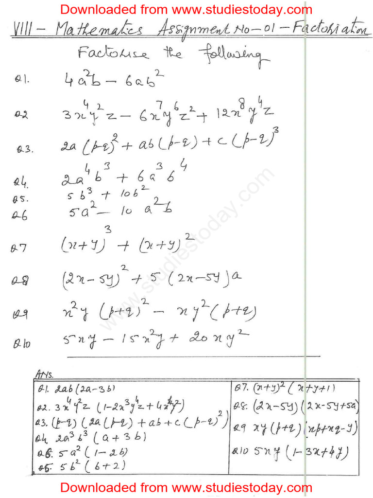 CBSE Class 8 Factorisation Assignment 4 | PDF
