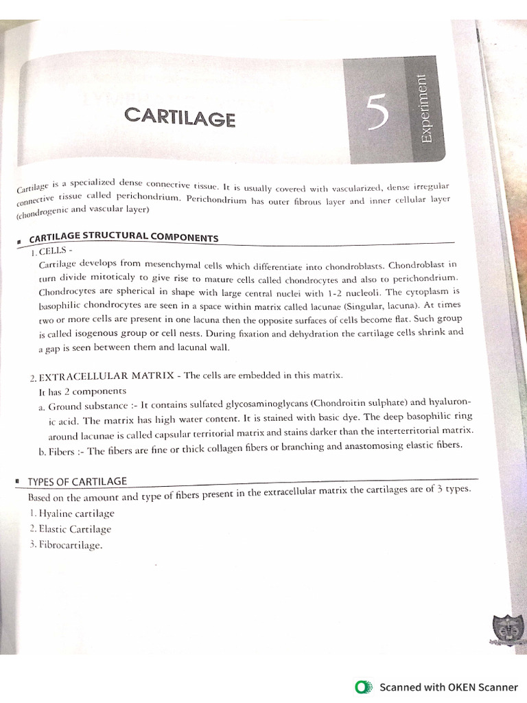 Practical Histology 03 - Connective Tissue - Cartilages | PDF