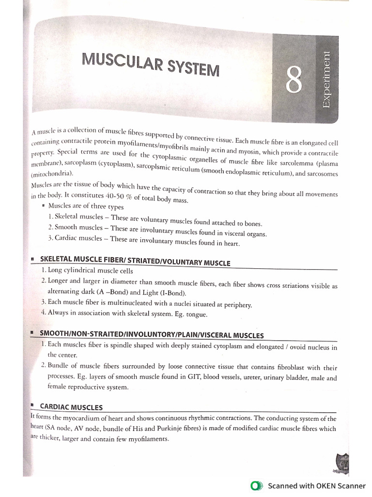Practical Histology 05 - Muscle Tissue - Skeleton, Smooth, Cardiac | PDF
