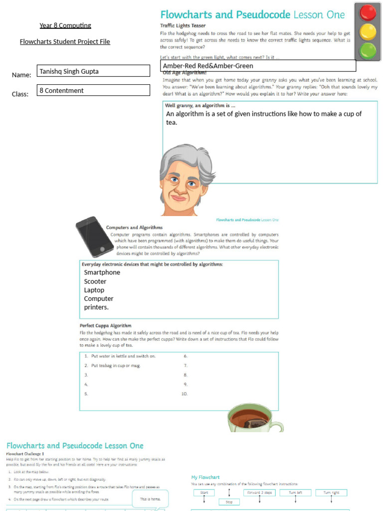 Year 8 Computing Flowcharts Project | PDF