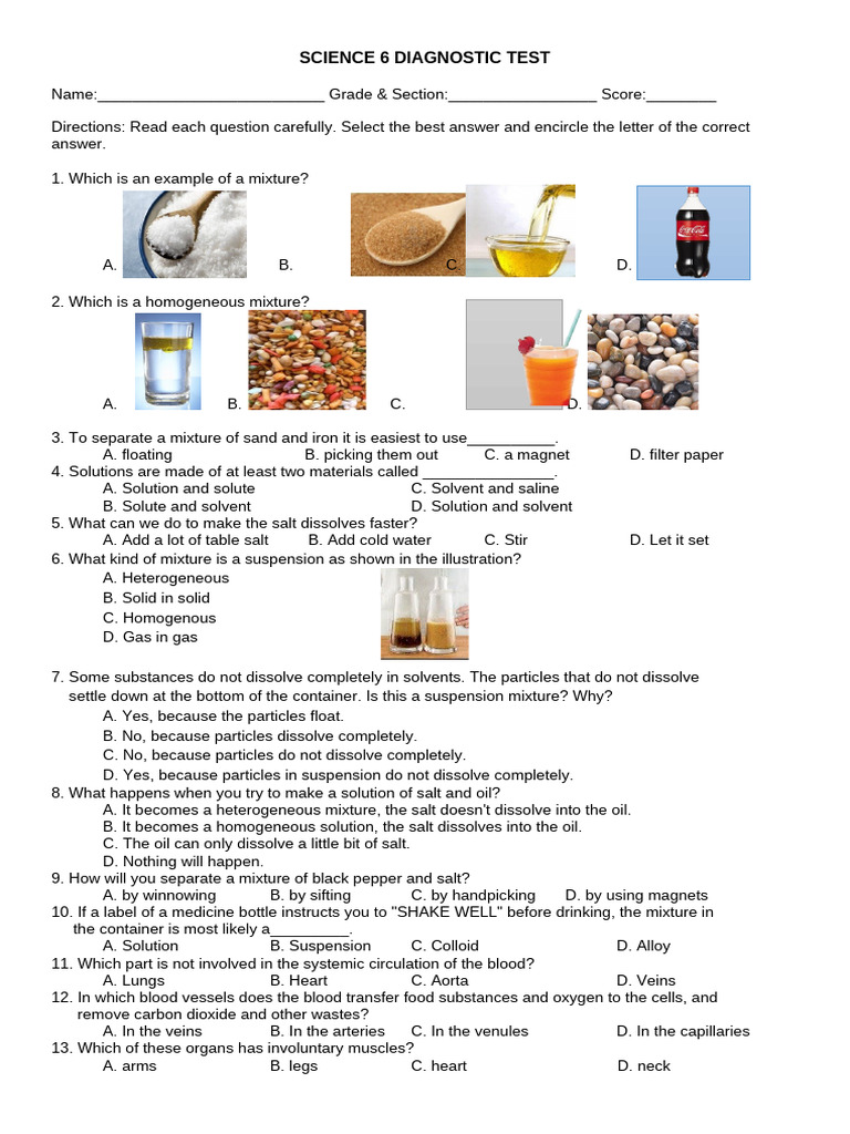 Diagnostic Test - Science 6 | PDF | Plate Tectonics | Mixture