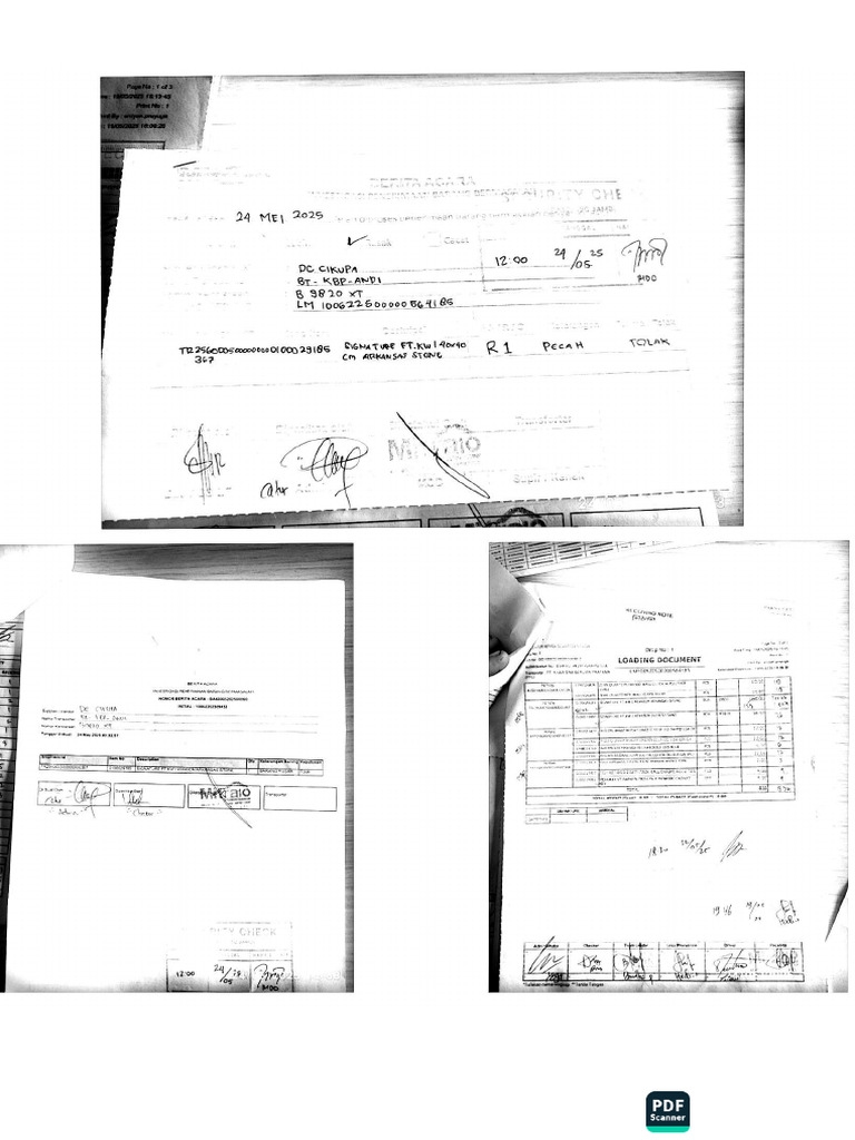 ACE Scanner - 2025 - 05 - 24 | PDF