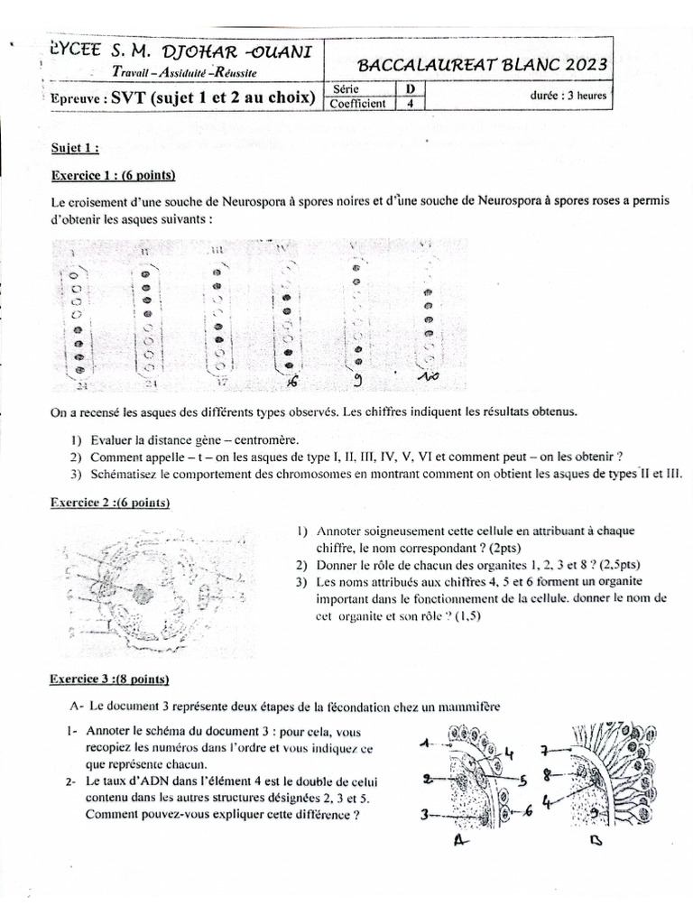 Bac Blanc Ouani 2023 | PDF