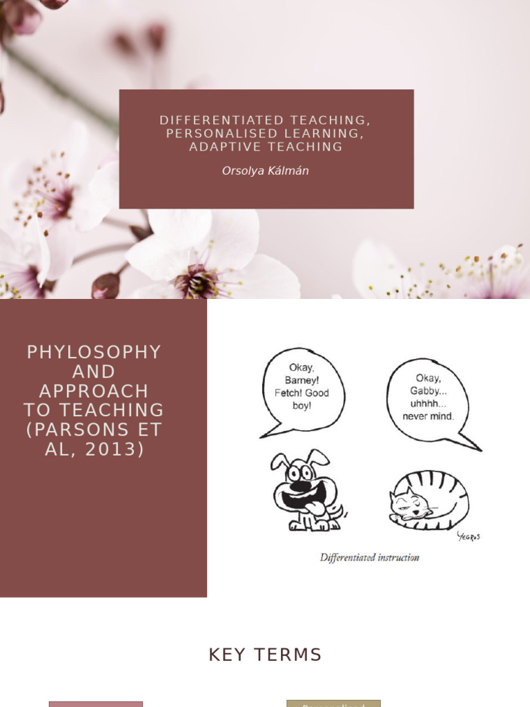Differentiated Teaching, Personalised Learning, Adaptive Teaching | PDF | Differentiated ...