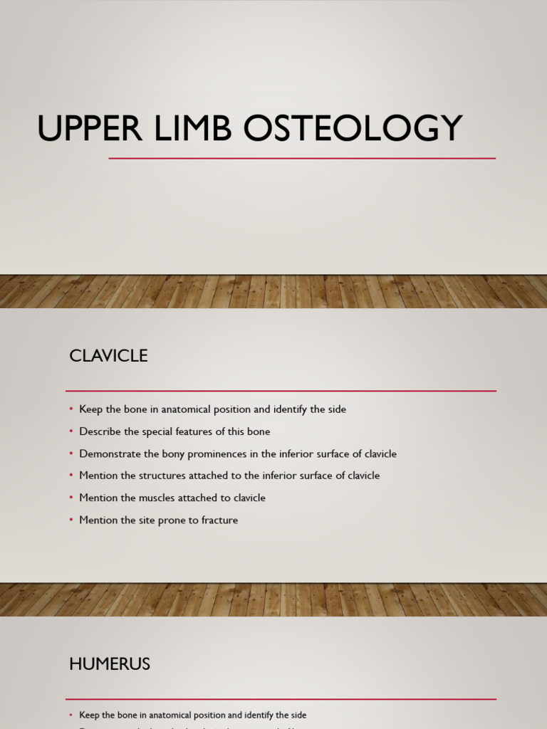 Upper Limb Osteology | PDF