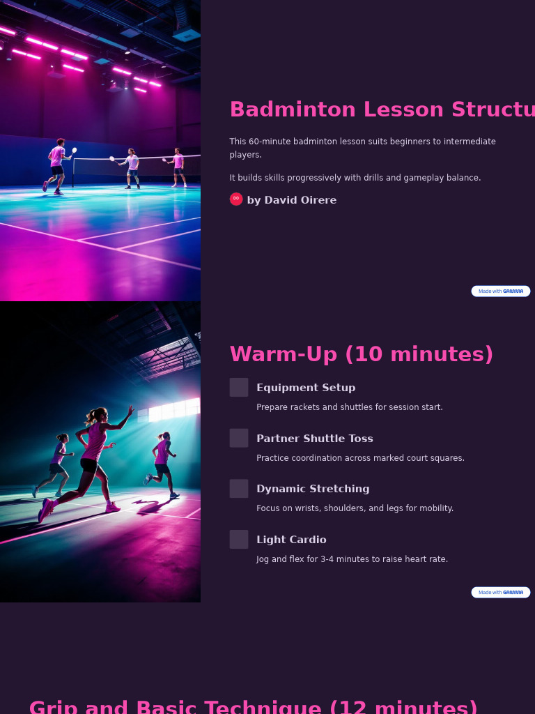 Beginner to Intermediate Badminton Lesson | PDF