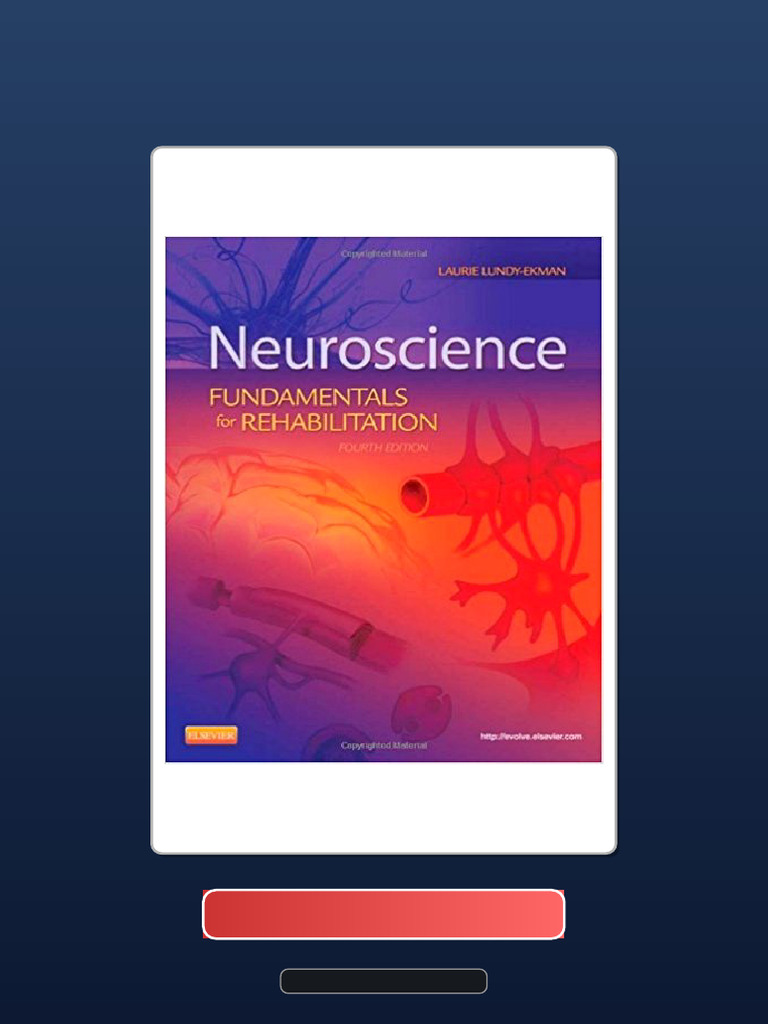 Immediate Access Neuroscience Fundamentals For Rehabilitation 4th ...