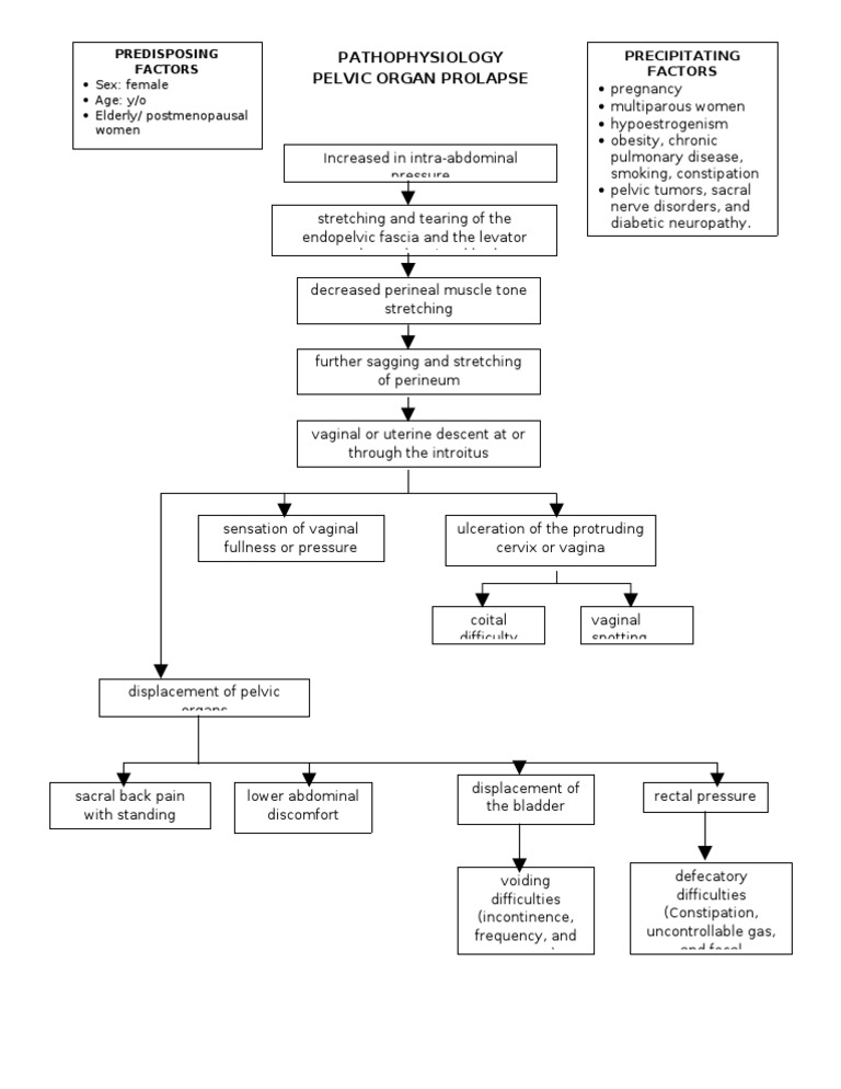 Pathophysiology Pelvic Organ Prolapse
