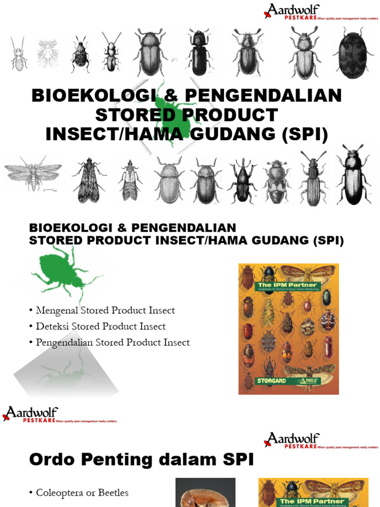 Bioekologi & Pengendalian Stored Product Insect/Hama Gudang (Spi) | PDF
