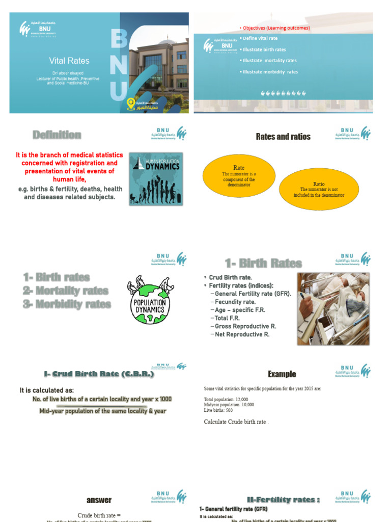 Understanding Vital Rates in Public Health | PDF | Mortality Rate ...