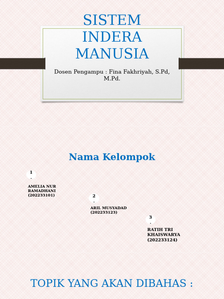 Sistem Indera | PDF