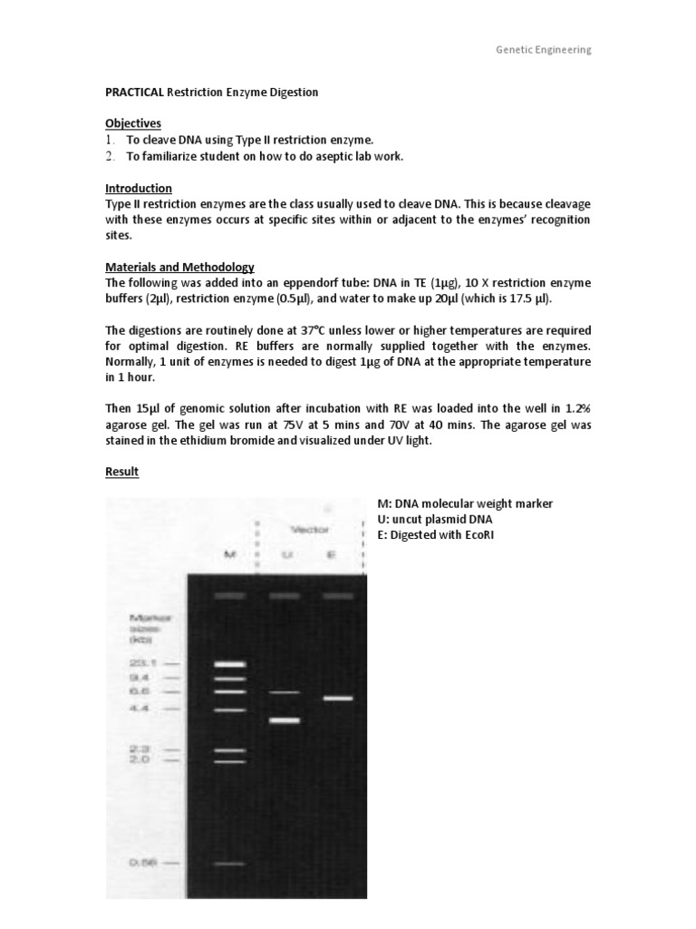 Restriction Enzyme Digestion | PDF | Restriction Enzyme | Dna