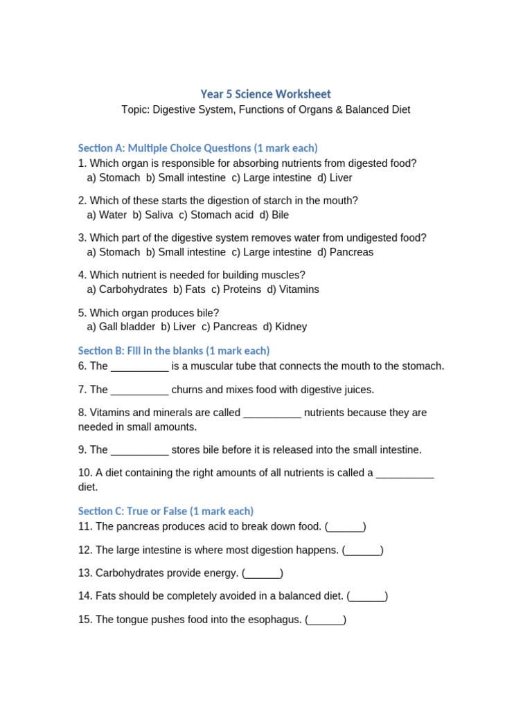 Year 5 Digestive System Worksheet | PDF