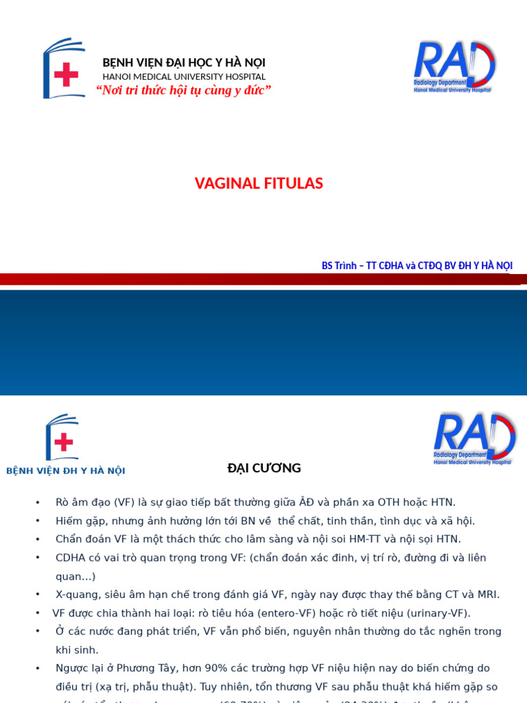 Staff Ro Am Dao | PDF