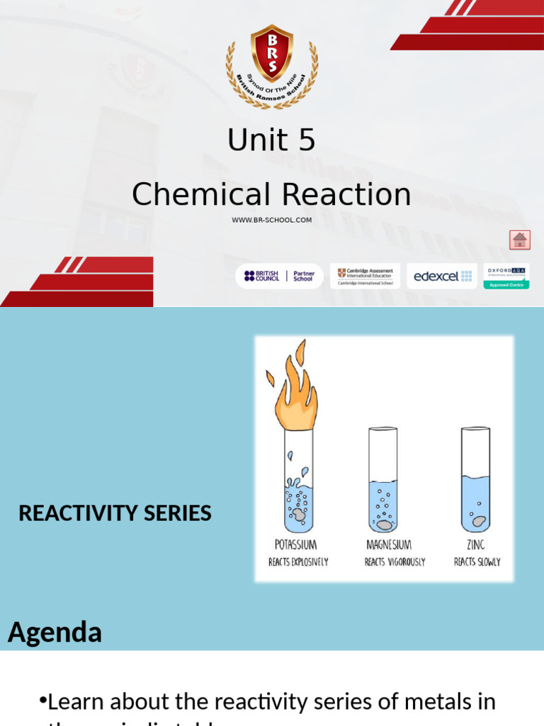 Understanding the Reactivity Series | PDF | Chemical Reactions | Metals