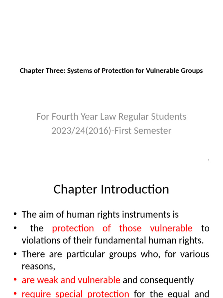 Protecting Vulnerable Groups' Rights | PDF | Minority Group ...