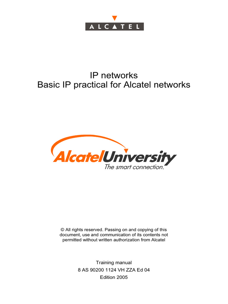 Basic Ip Practice Th+Ex 3fl11578abaazzzza | PDF | Internet Protocol Suite | Computer Network