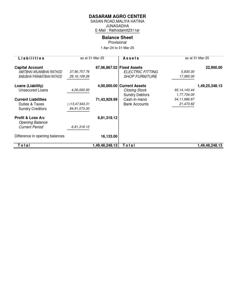Provisional Balance Sheet 2024-2025 | PDF