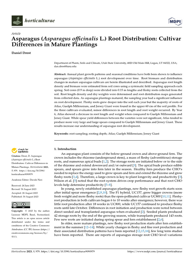 Asparagus Cultivar Root Distribution Study | PDF | Root | Asparagus