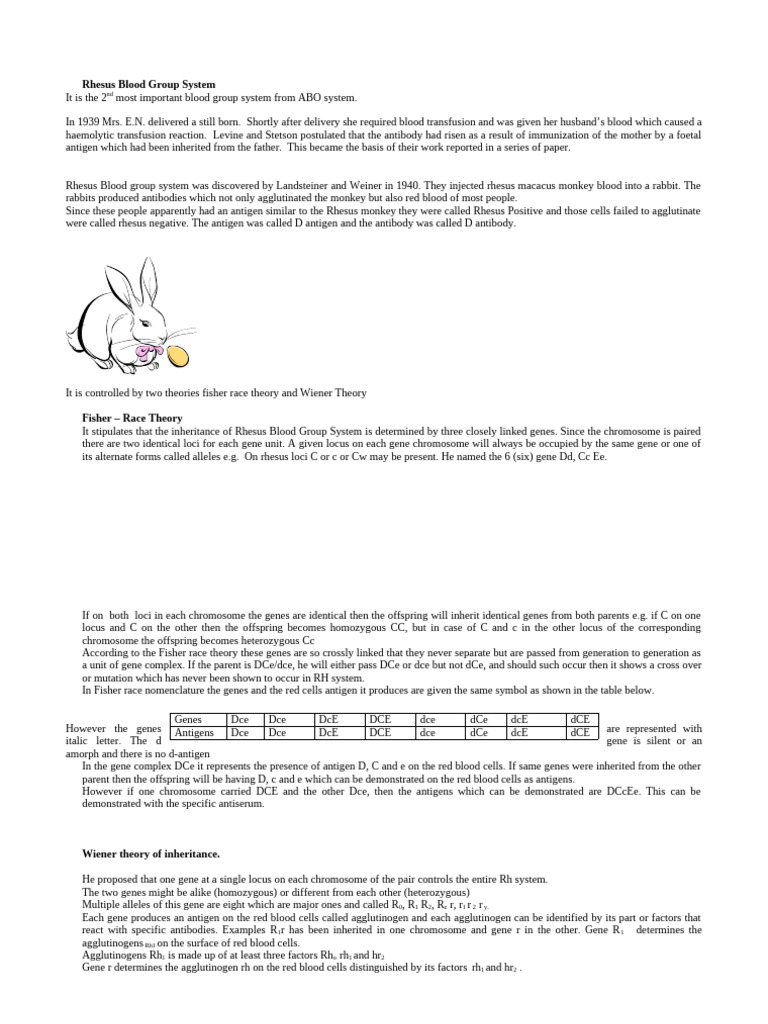 Rhesus Blood Group System Overview | PDF | Blood Type | Zygosity
