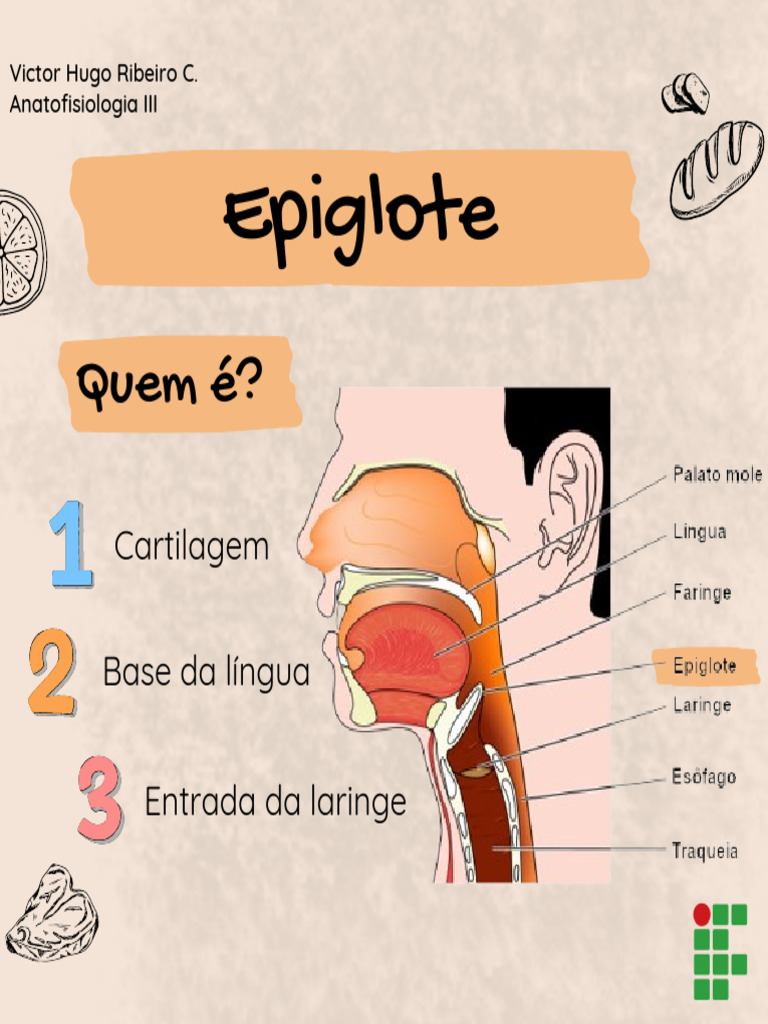 Epiglote Instagram - 20250624 - 081840 - 0000 | PDF