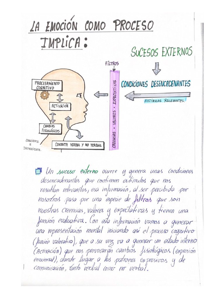 Proceso Emocional Imagen Explicativa | PDF