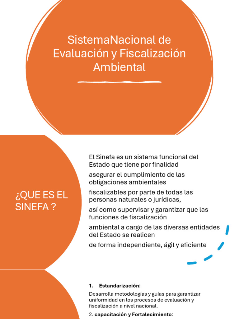 Qué es el SINEFA y sus funciones | PDF | Economias