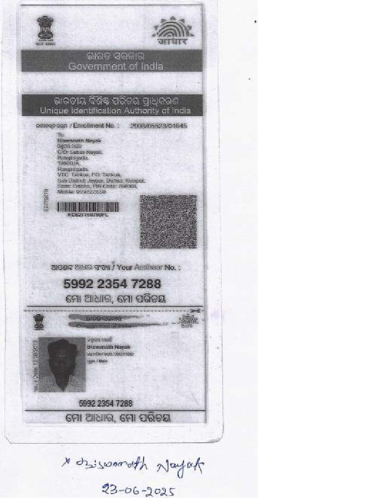 NAYAK Compressed | PDF