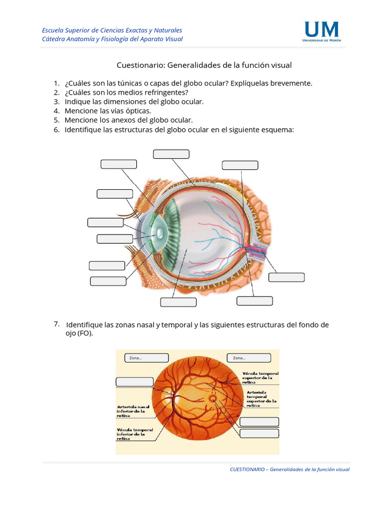 Cuestionario - Generalidades de La Función Visual | PDF