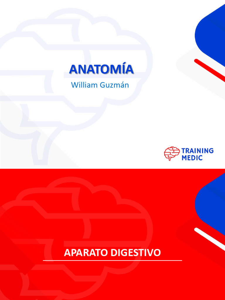 ABDOMEN 1 - Vísceras Abdominales 1 Esófago y Estómago - DR WILLIAM | PDF