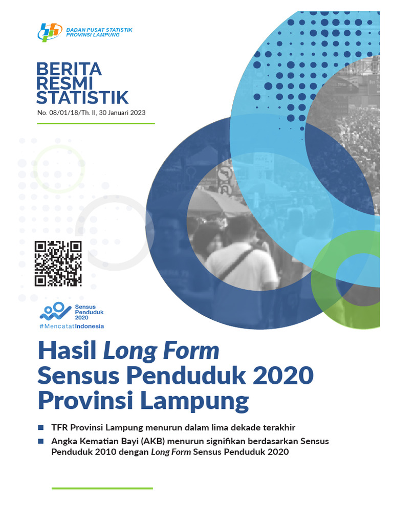 Hasil Long Form Sensus Penduduk 2020 Provinsi Lampung | PDF