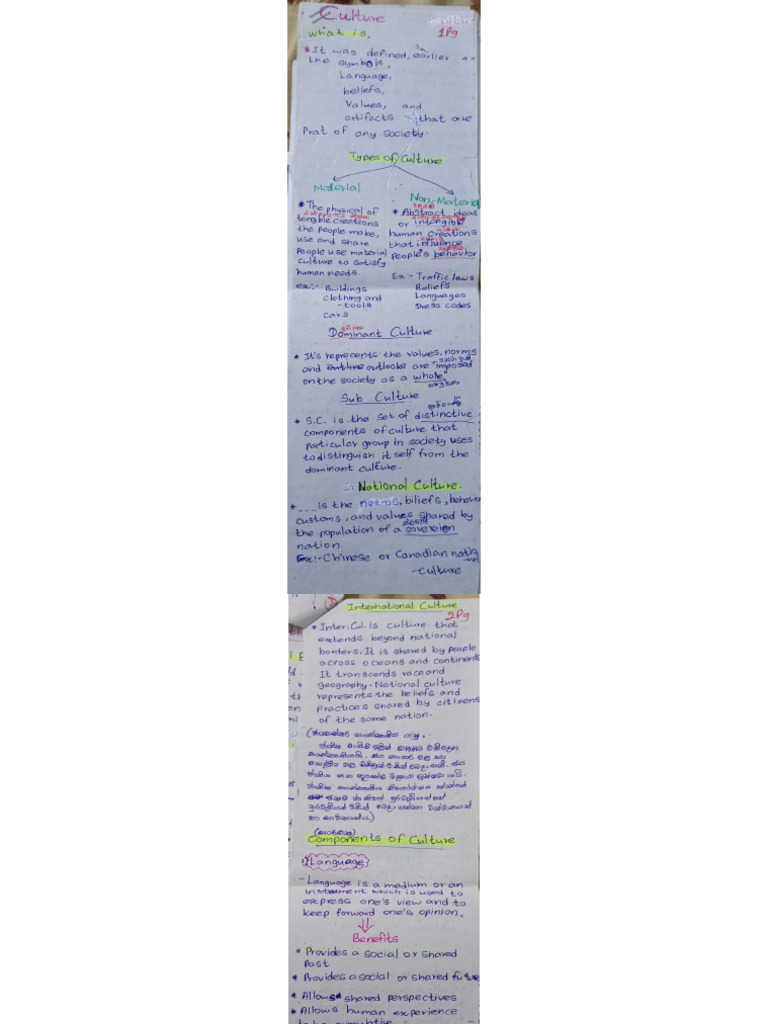 Culture Short Note | PDF
