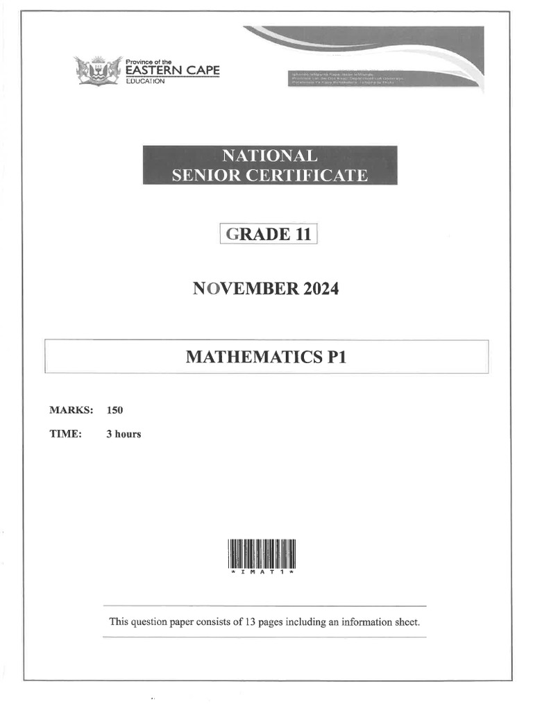 2024 Grade 11 Maths November Paper 1 | PDF